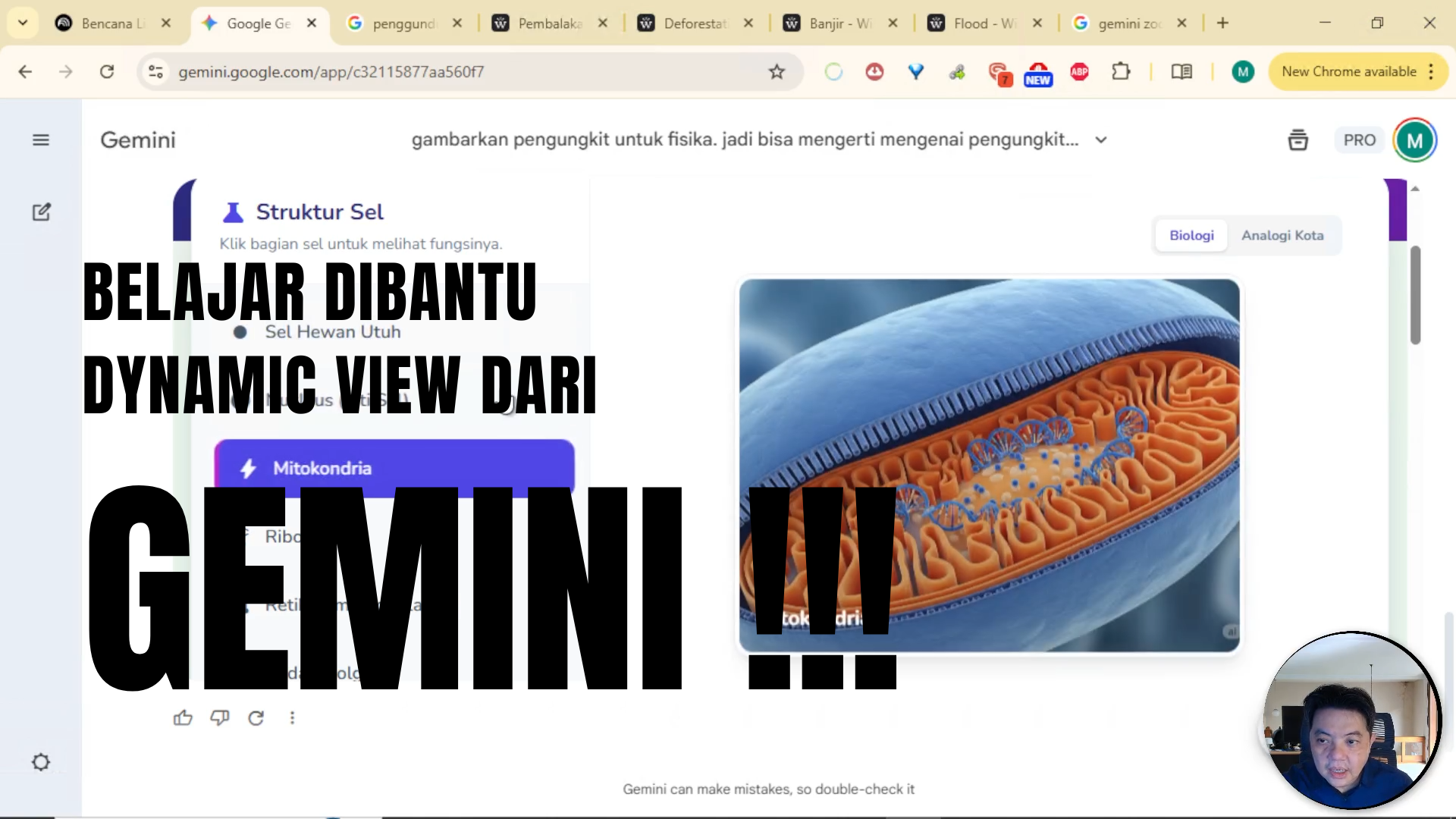 Belajar Sains Lebih Interaktif dengan Fitur Dynamic View di Gemini ...
